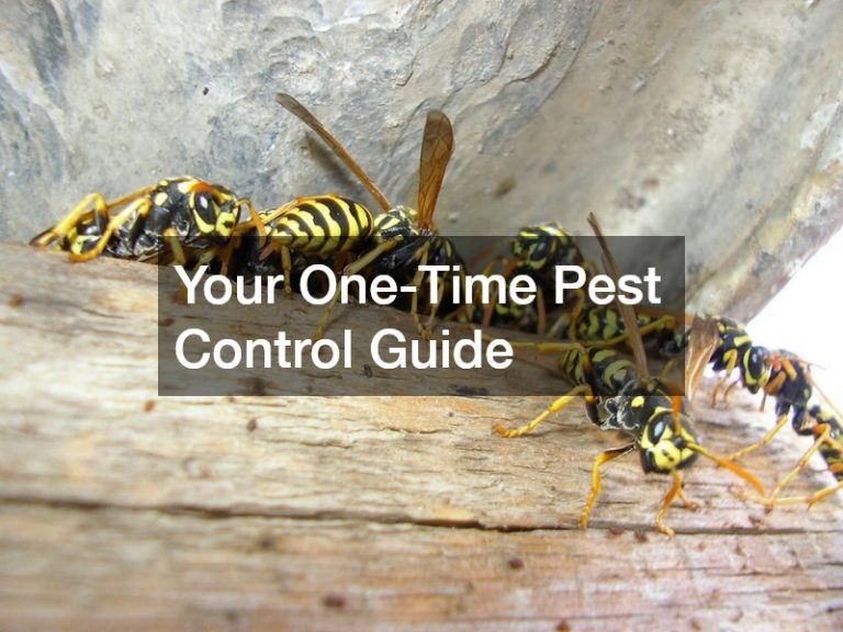 Your One-Time Pest Control Guide - Home Renovation and Remodeling Digest